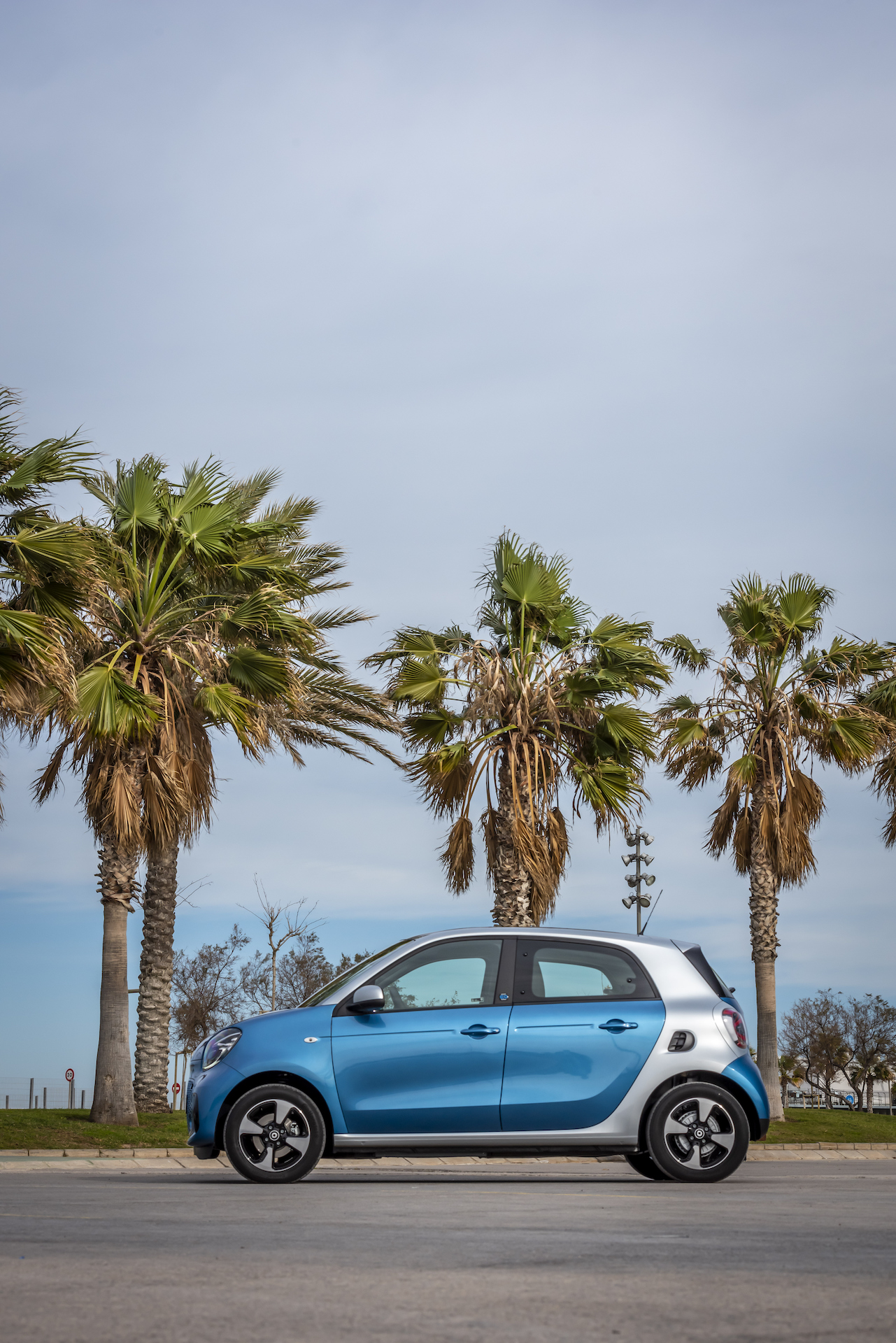 Smart EQ Forfour (2020): Datos Completos | Todos Eléctricos